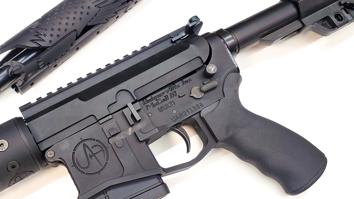 California Dreamin’: Questions Answered for AR-15s in California ...