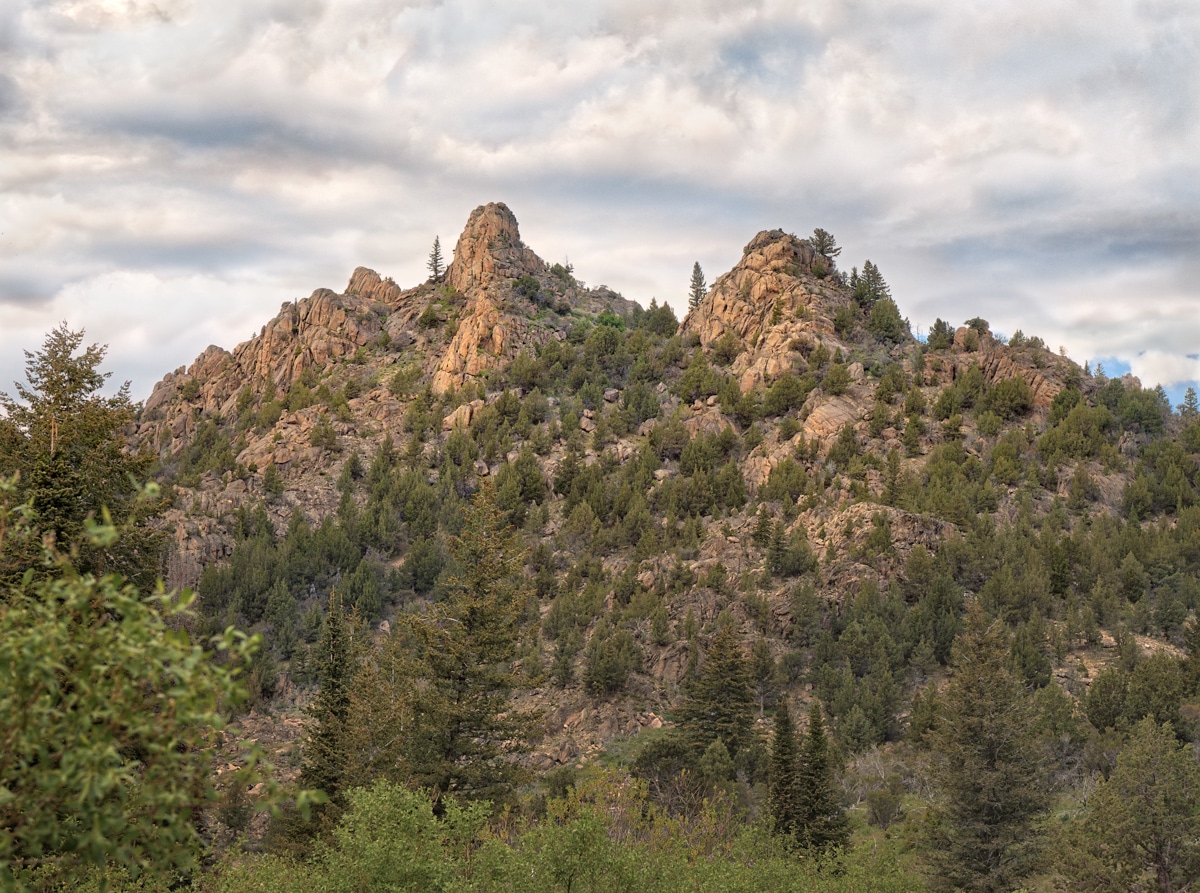 Regarding Prairie Wolves and Predator Hunting – Unique-ARs